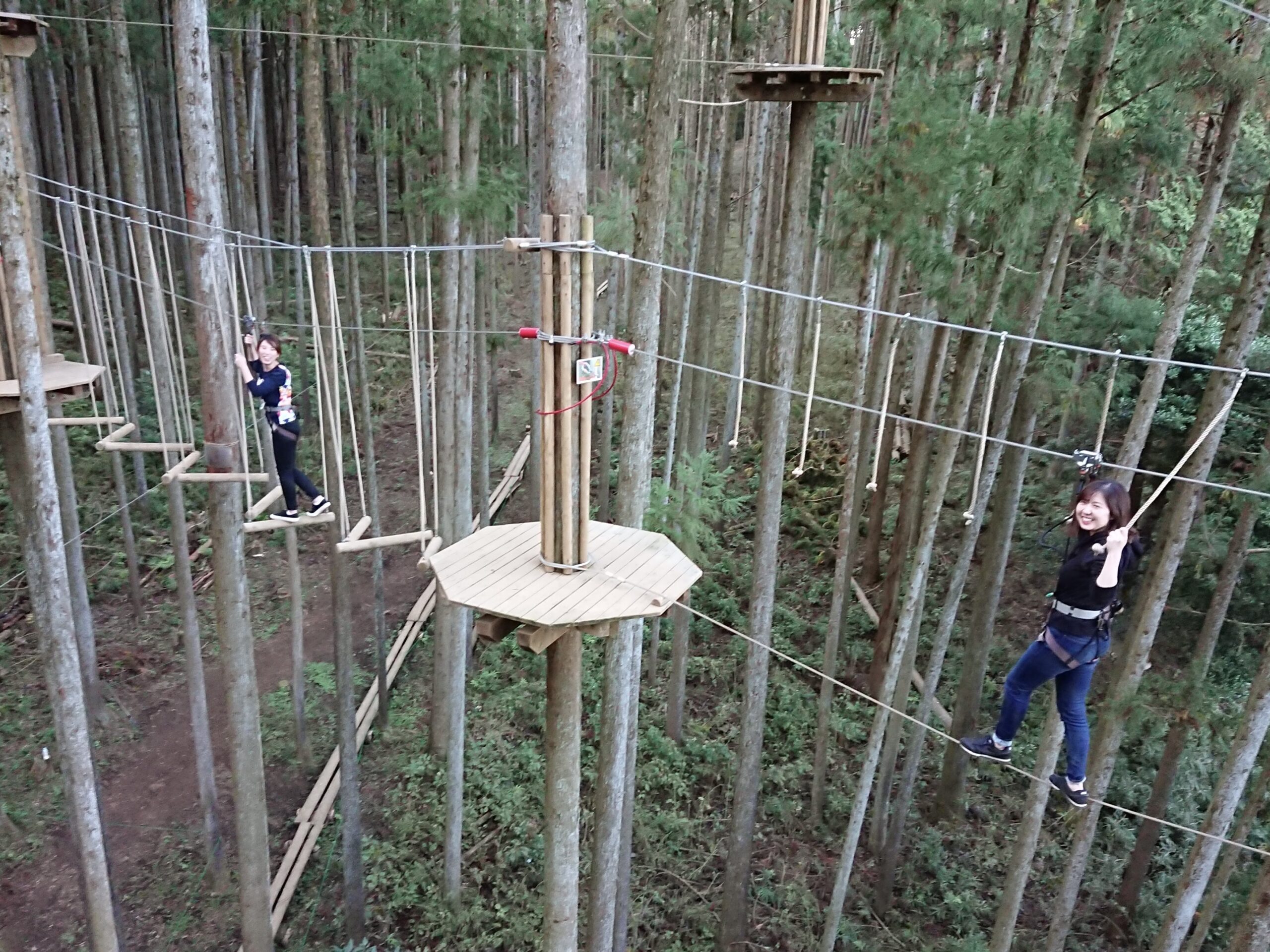 Tree Cross Adventure | 森を舞台に”ハネ”る画づくり | スペース予約はHEYUSE（ヘイユース）におまかせ